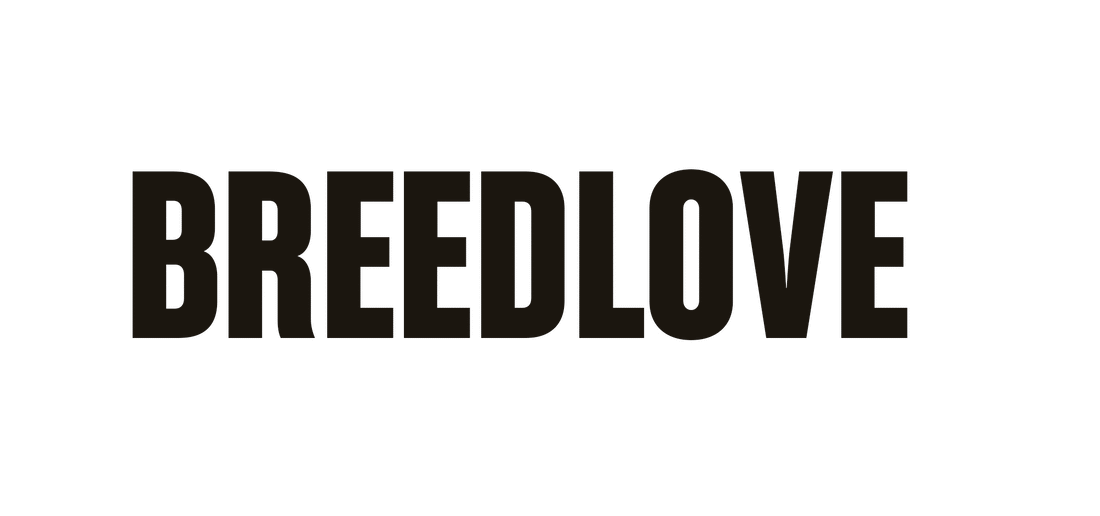 About Us – Breedlove Guitars