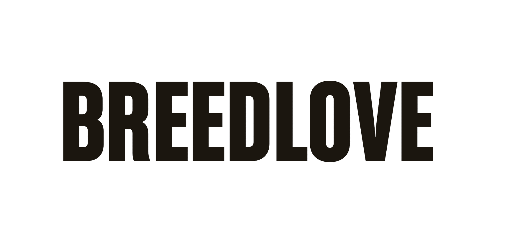 About Us – Breedlove Guitars