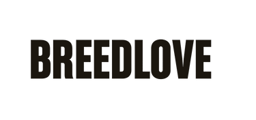 About Us – Breedlove Guitars