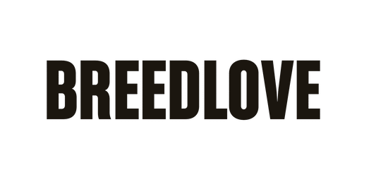 About Us – Breedlove Guitars